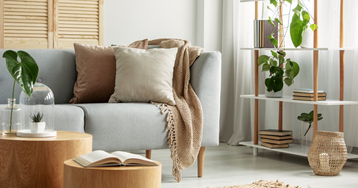 My Fees | Bethany Ashley-Smith